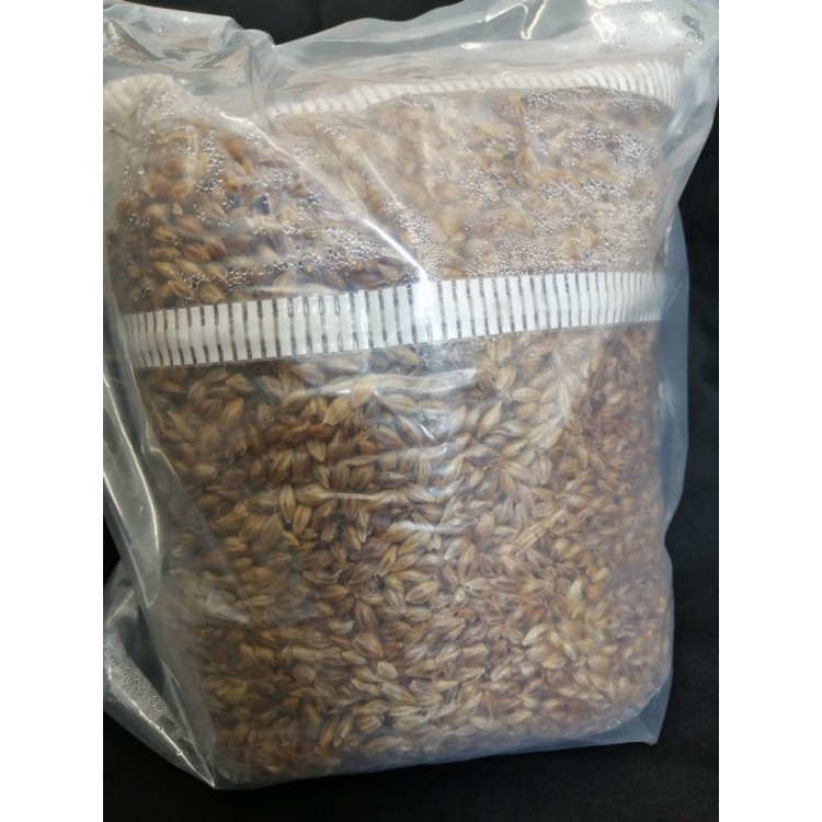 Sterlised Whole Barley Grain Bags